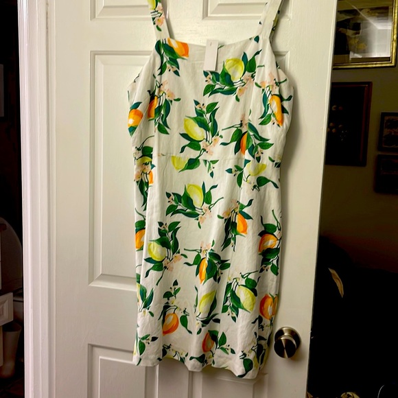 Ann Taylor | Dresses | Nwt Ann Taylor Citrus Dress | Poshmark